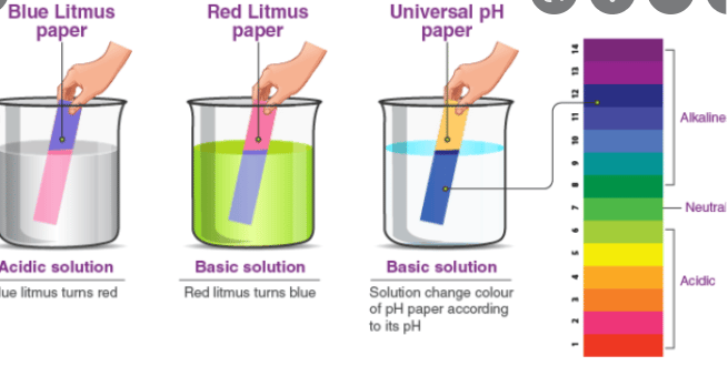 Is there a way to detect K2 on paper? - K2 Paper Sheets