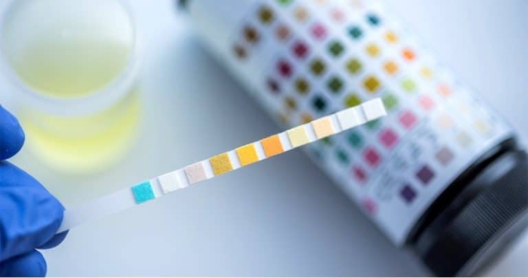 How to detect k2 spray on paper - K2 Paper Sheets